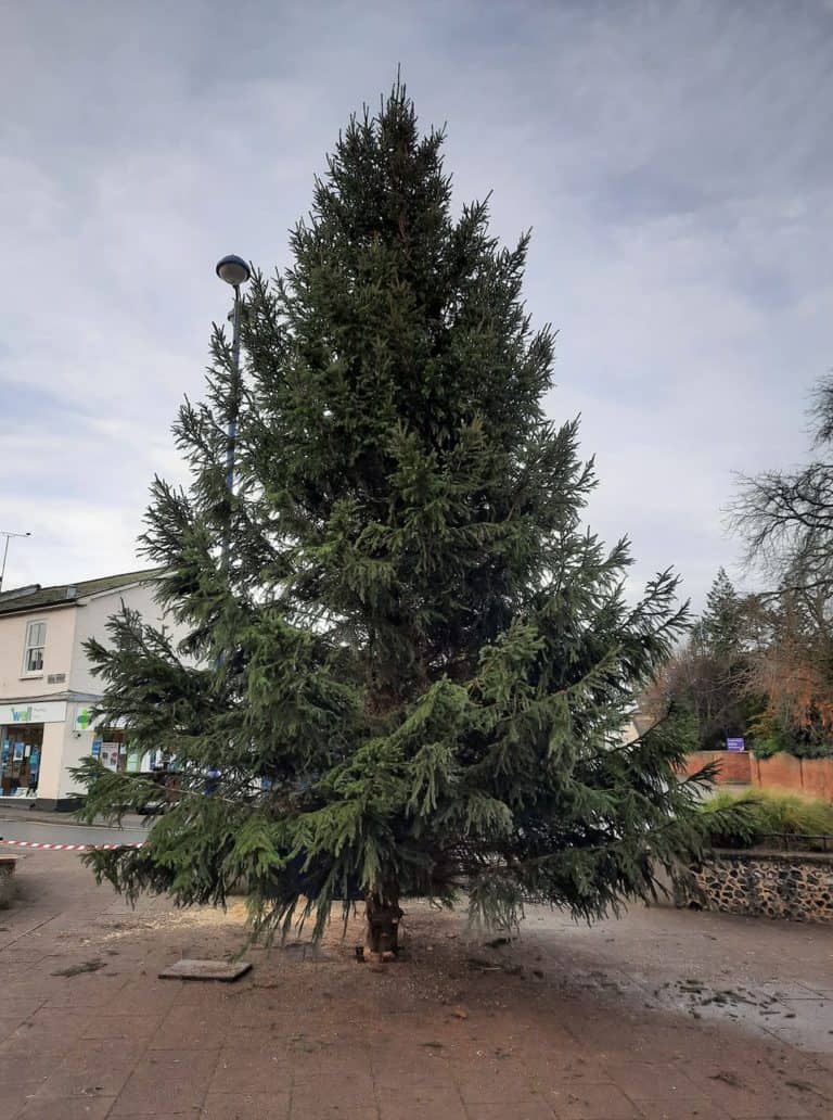 Haverhill's Christmas Tree - Haverhill Town Council
