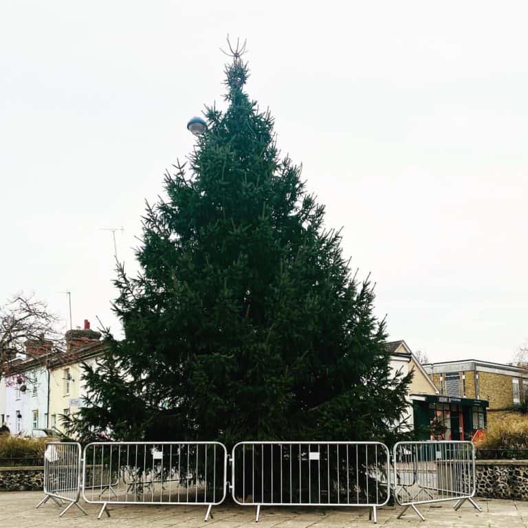 Haverhill's Christmas Tree Has Arrived! - Haverhill Town Council